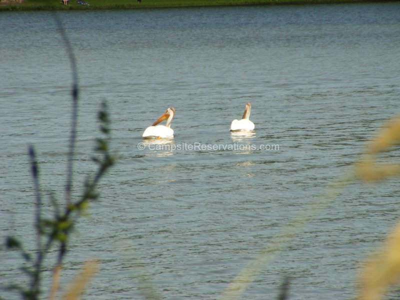 Lake Shetek State Park, Minnesota, United States