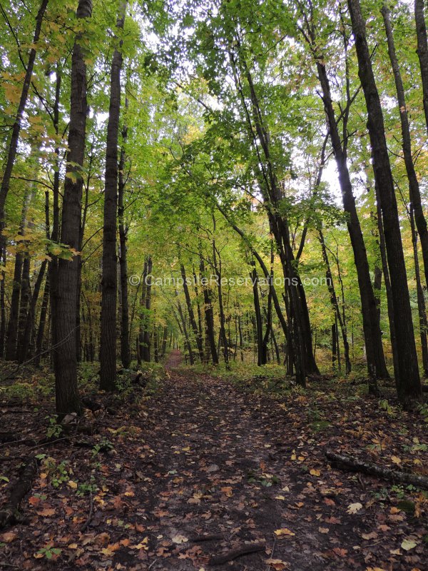 Maplewood State Park, Minnesota, United States