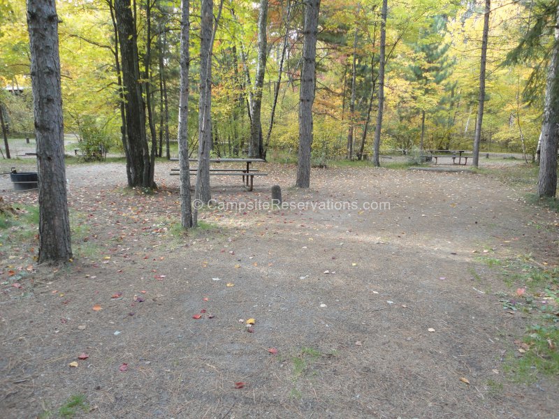 Campsite 31 in Side Lake Campground at McCarthy Beach State Park ...