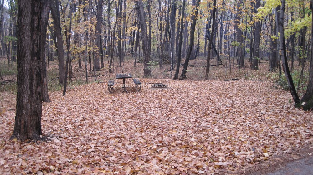 Photo of Campsite 30 in Big Island Campground at Myre - Big Island ...