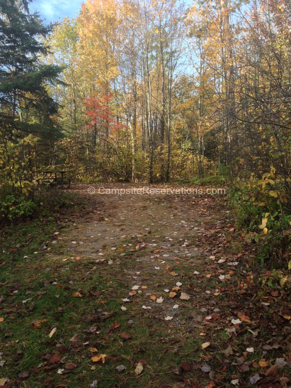 Photo of Campsite 05 in Chase Point Campground at Scenic State Park ...