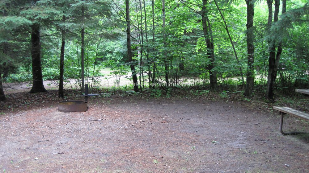 Photo of Campsite 13 in Chase Point Campground at Scenic State Park ...