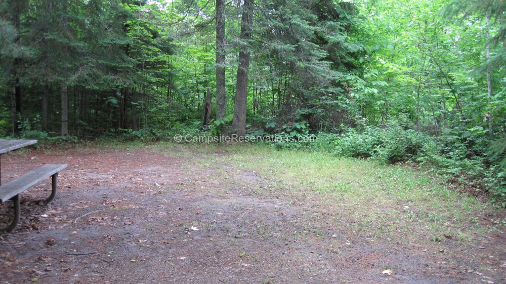 Photo of Campsite 49 in Chase Point Campground at Scenic State Park ...