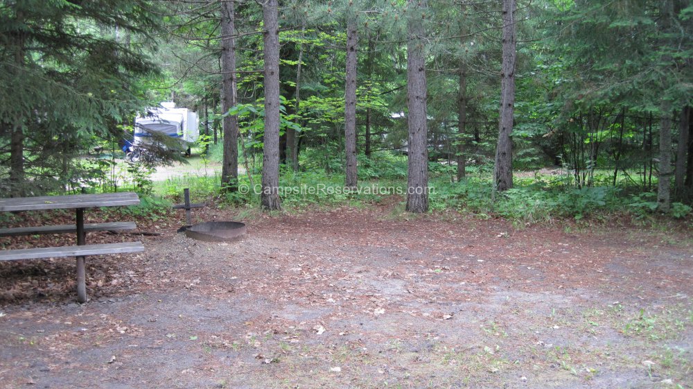 Photo of Campsite 49 in Chase Point Campground at Scenic State Park ...