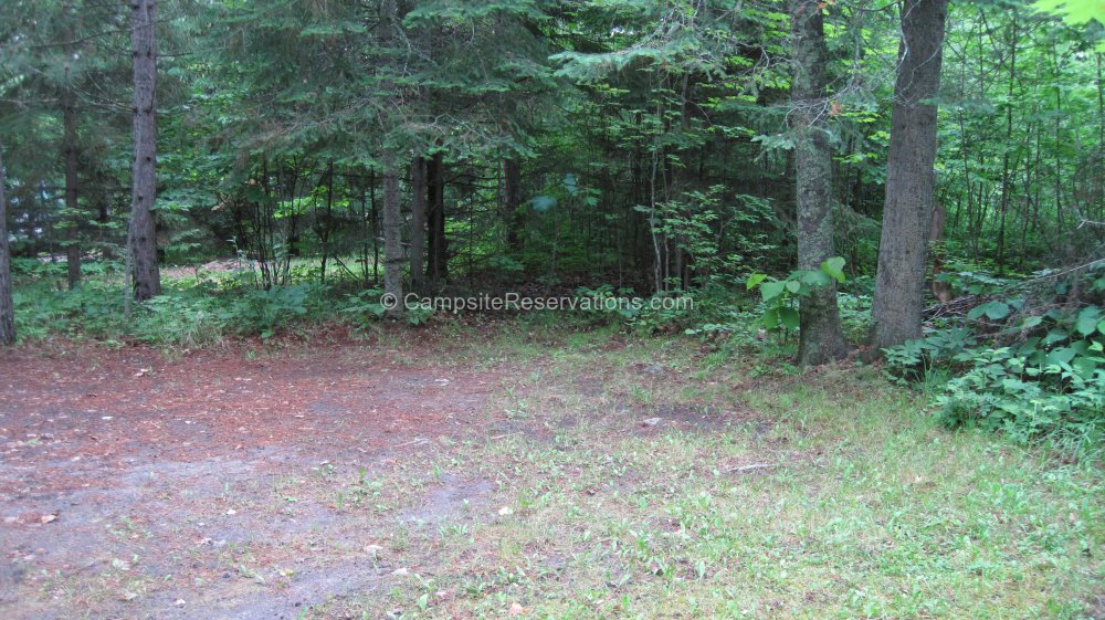 Photo of Campsite 49 in Chase Point Campground at Scenic State Park ...