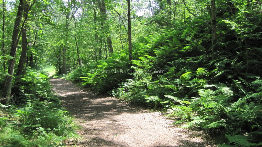 Wild River State Park, Minnesota, United States