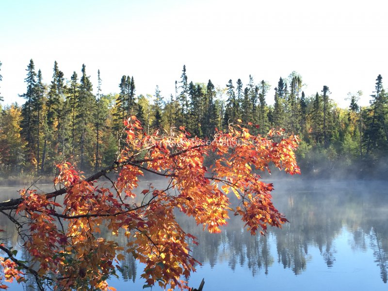 Pfeiffer Lake Campground at Superior National Forest, Minnesota, United ...