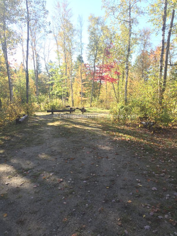 Photo of Campsite 01 in Pfeiffer Lake Campground at Superior National ...
