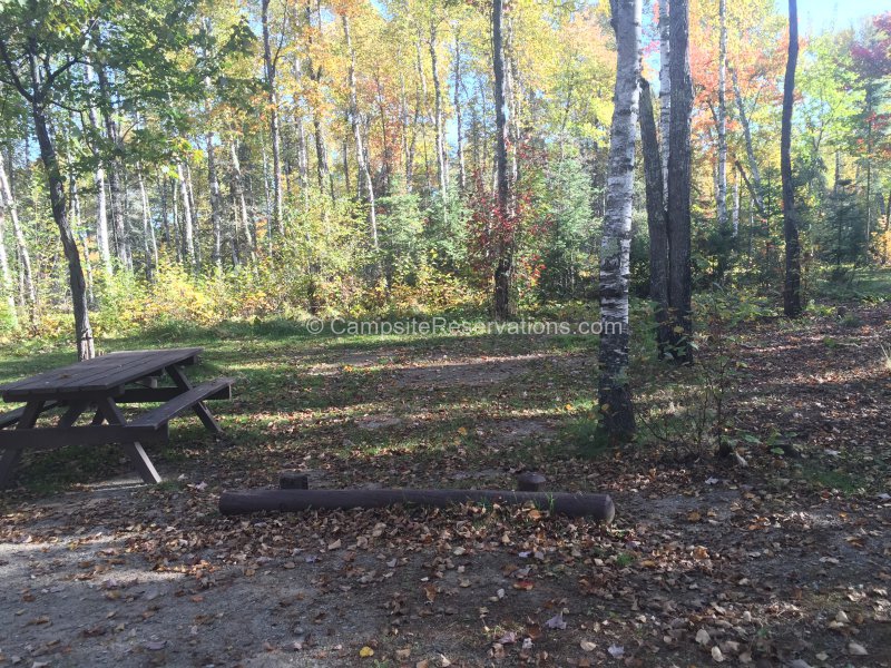 Photo of Campsite 05 in Pfeiffer Lake Campground at Superior National ...