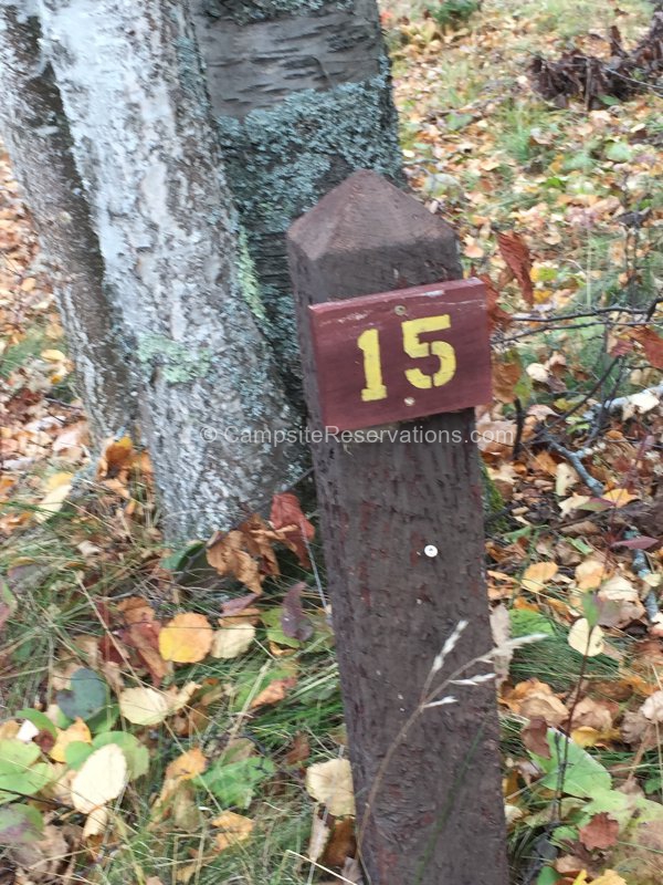 Photo of Campsite 15 in Pfeiffer Lake Campground at Superior National ...