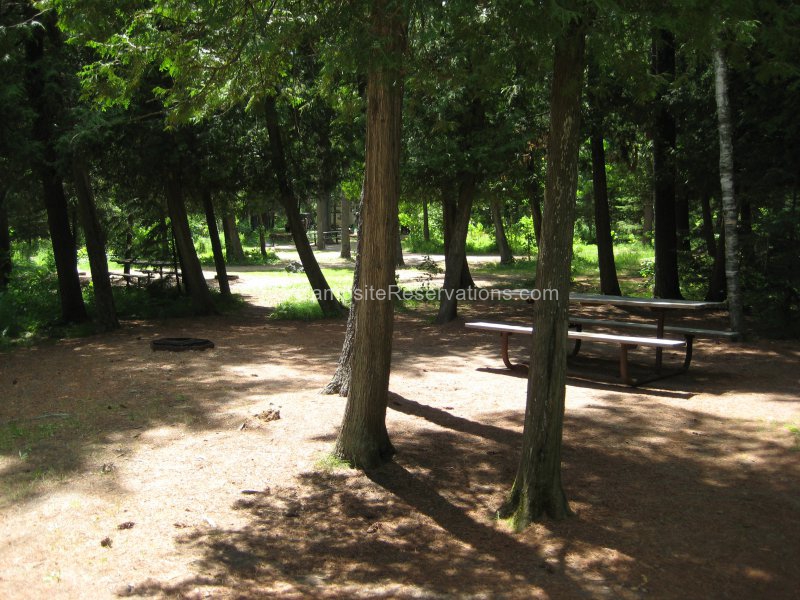 Photo of Campsite 75 in Jay Cooke State Park Campground at Jay Cooke ...