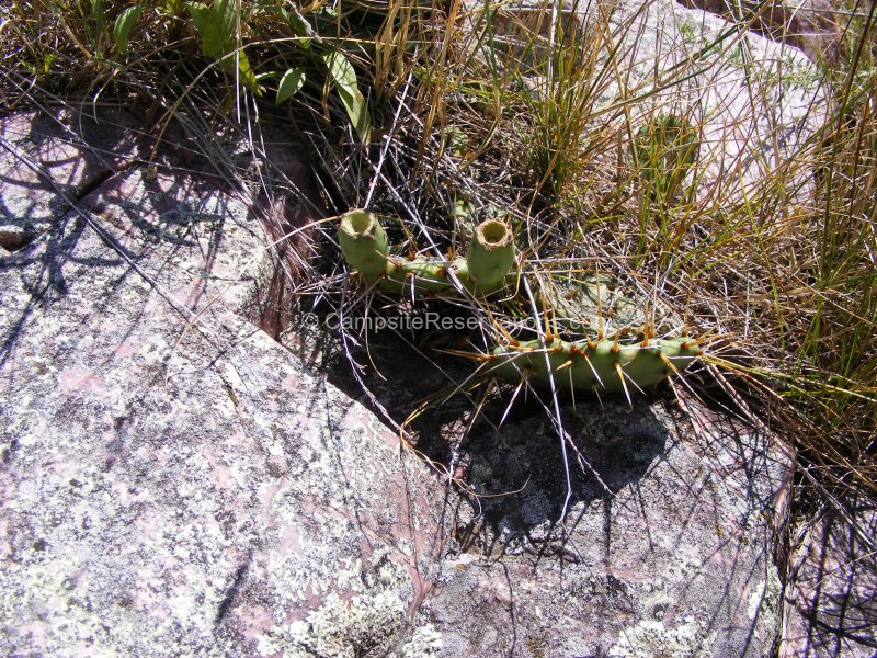 Photo of Blue Mounds State Park, Minnesota, United States