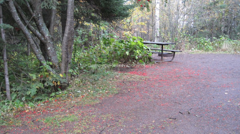 Campsite 09e in Cascade River State Park Campground - 2 Loop at Cascade ...