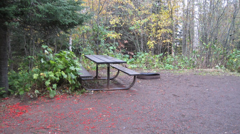 Campsite 09e in Cascade River State Park Campground - 2 Loop at Cascade ...