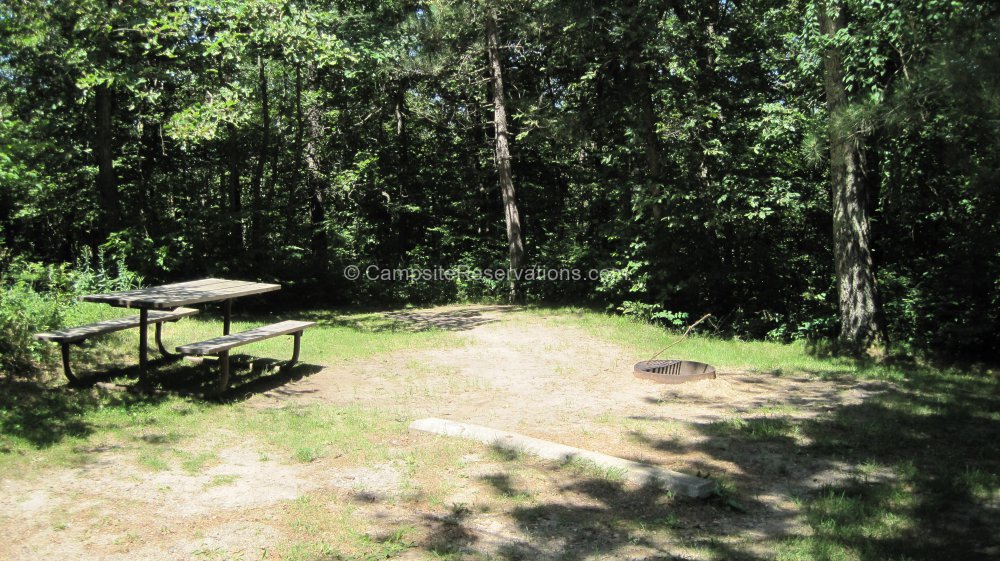 Campsite 23 in Crow Wing State Park Campground at Crow Wing State Park ...