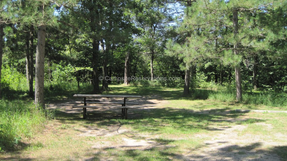 Campsite 28 in Crow Wing State Park Campground at Crow Wing State Park ...