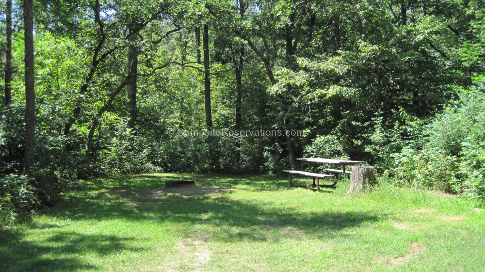 Campsite 36 in Crow Wing State Park Campground at Crow Wing State Park ...
