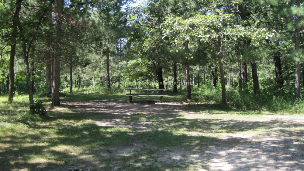 Campsite 56 in Crow Wing State Park Campground at Crow Wing State Park ...