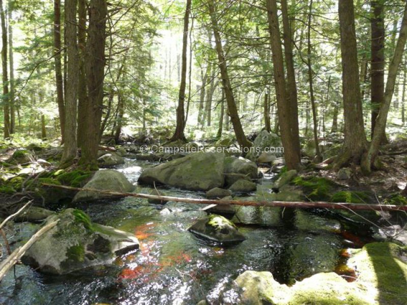Bear Brook State Park, New Hampshire, United States