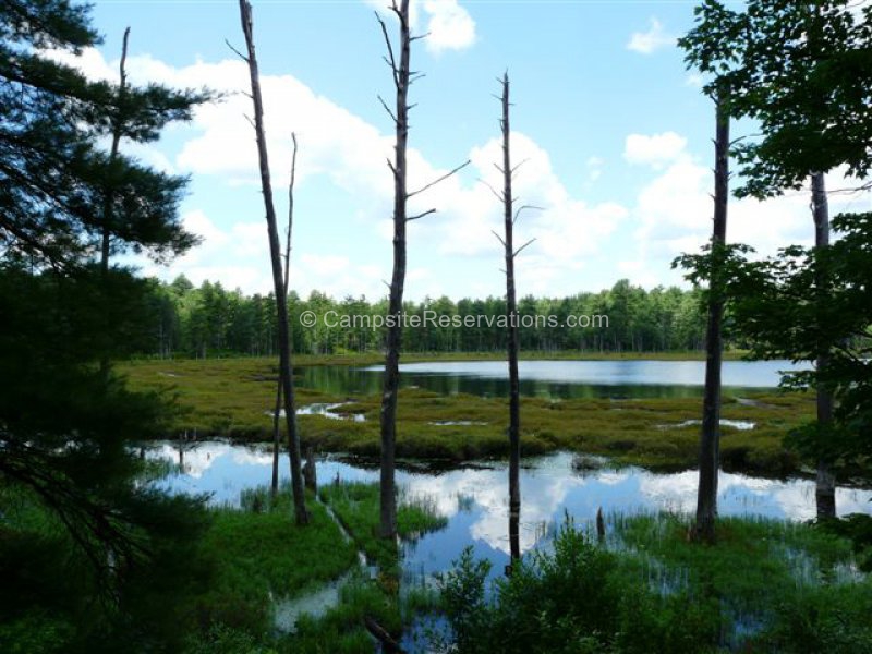 Bear Brook State Park, New Hampshire, United States
