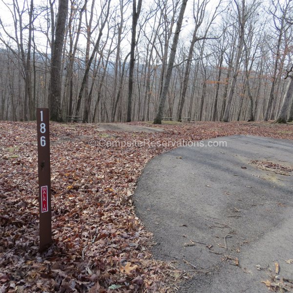 Campsite 186 in Lake Hope State Park Campground at Lake Hope State Park ...