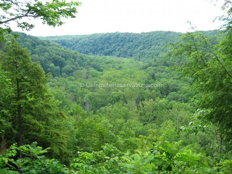 Mohican State Park, Ohio, United States