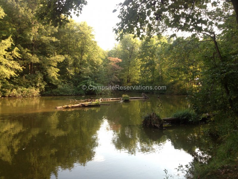 Campsite 194 in Pymatuning State Park Campground at Pymatuning State ...