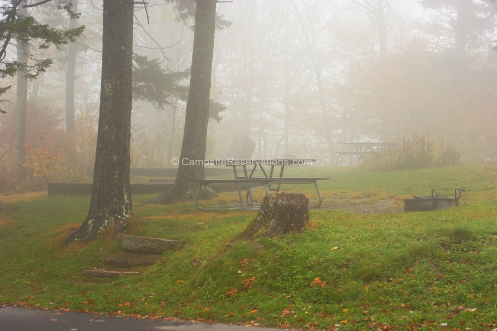 Campsite Reservations | Camping Reservations, Photos, Reviews, and ...