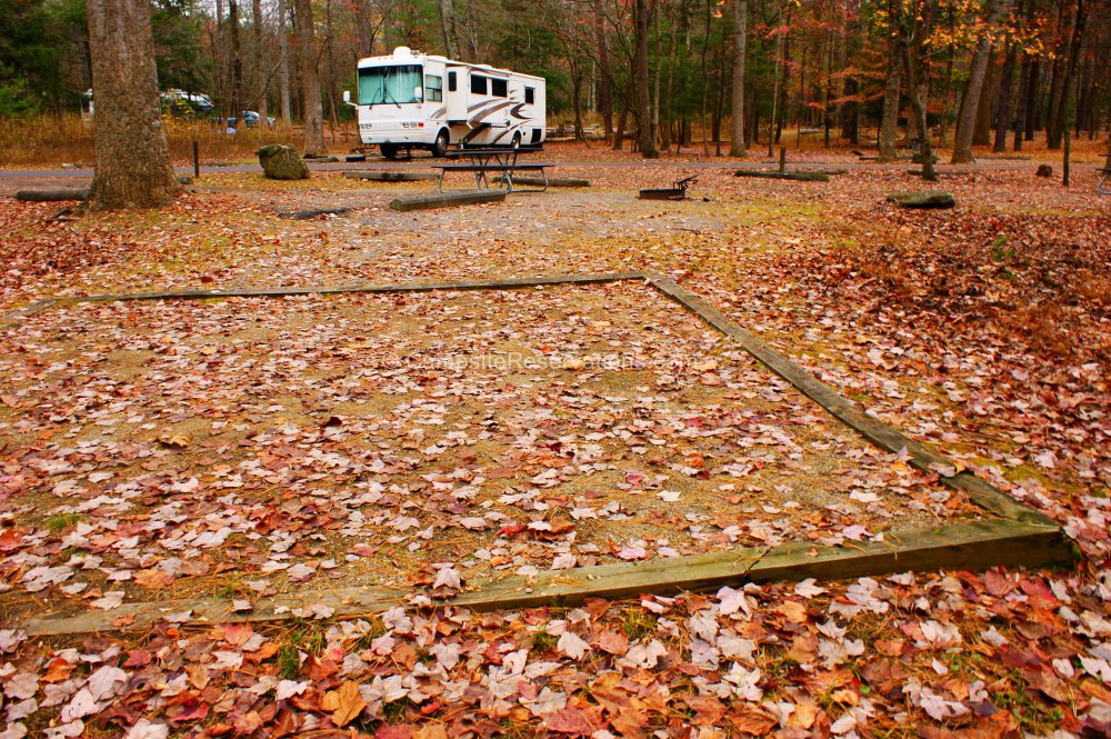 Photo of Campsite 17 in Cades Cove Campground - B Loop at Great Smoky ...