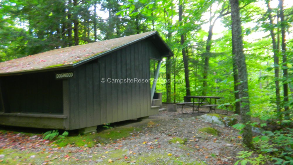 Campsite Dogwood in Coolidge State Park Campground - Lean-To Loop at ...