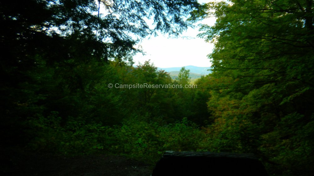 Campsite Elm in Coolidge State Park Campground - Lean-To Loop at ...