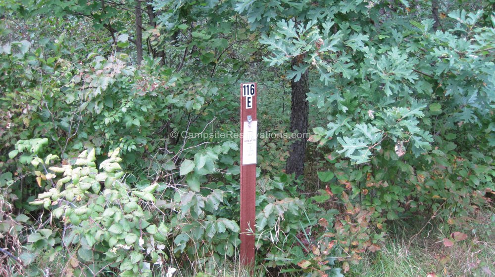 Photo of Campsite 116 in Right Campground at Lake Wissota State Park ...