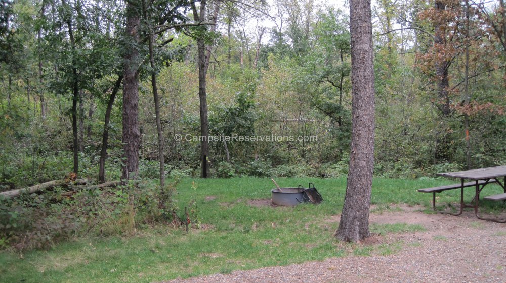 Photo of Campsite 116 in Right Campground at Lake Wissota State Park ...