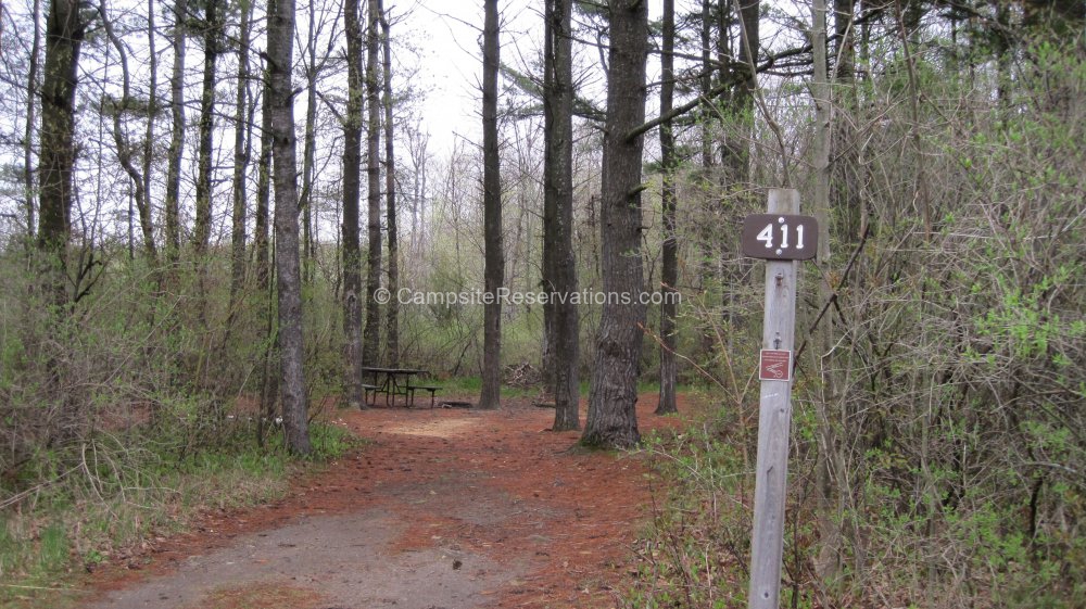 Photo of Campsite 411 in Tennison Bay Campground at Peninsula State ...