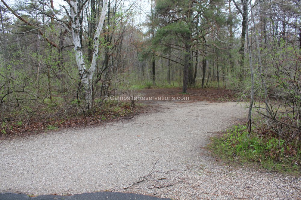 Photo of Campsite 454 in Tennison Bay Campground at Peninsula State ...