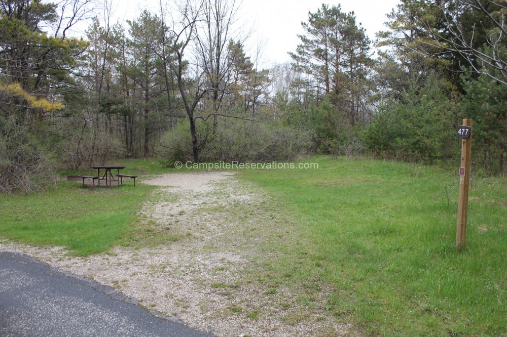 Photo of Campsite 477 in Tennison Bay Campground at Peninsula State ...