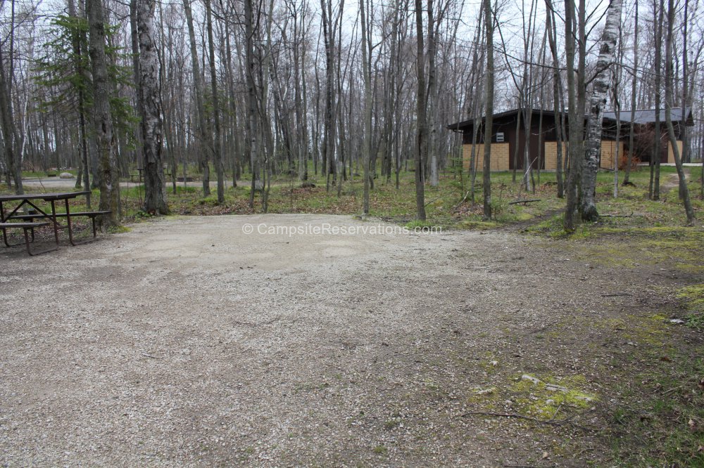 Photo of Campsite 561 in Welckers Campground at Peninsula State Park ...
