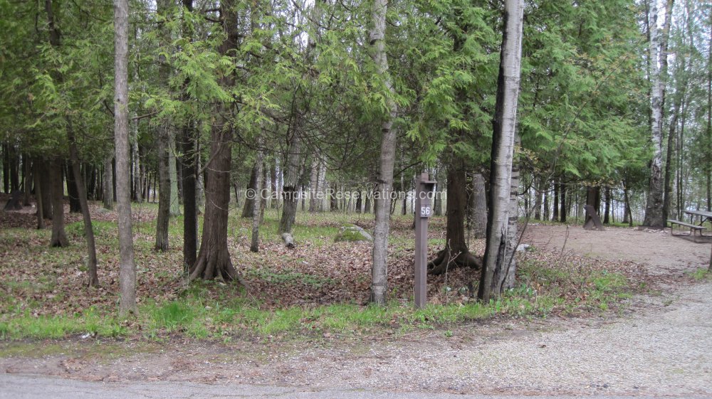 Photo of Campsite 56 in Daisy Field South Campground at Potawatomi ...