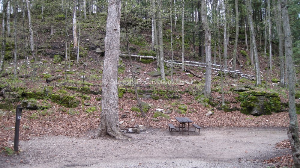Photo of Campsite 42 in Daisy Field South Campground at Potawatomi ...