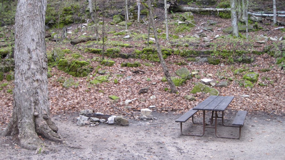 Photo of Campsite 42 in Daisy Field South Campground at Potawatomi ...