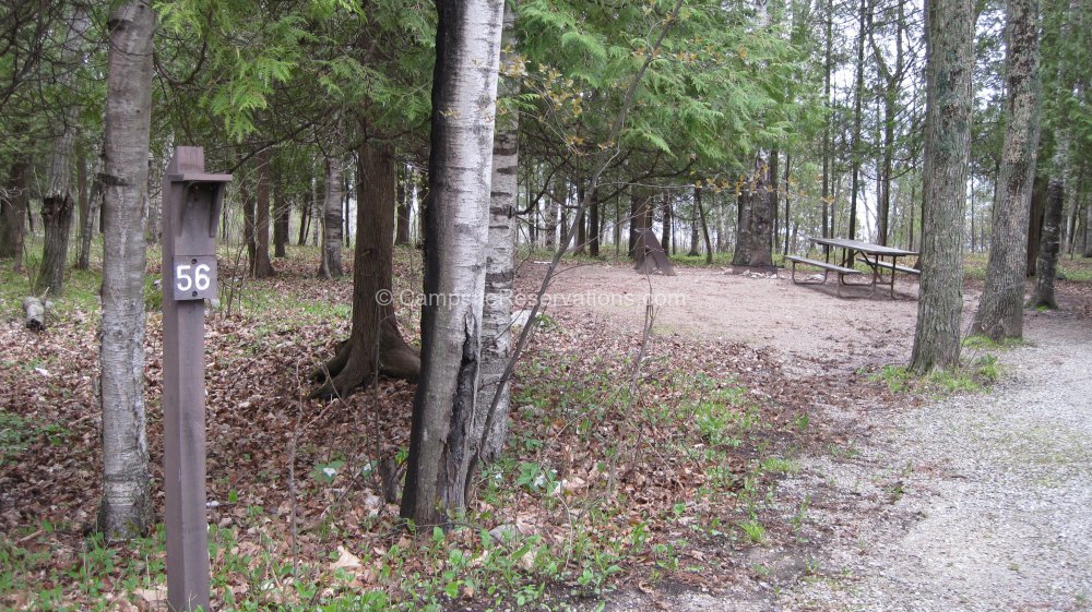 Photo of Campsite 56 in Daisy Field South Campground at Potawatomi ...