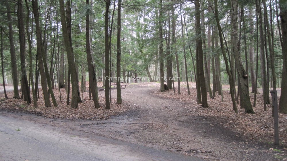 Photo of Campsite 63 in Daisy Field South Campground at Potawatomi ...