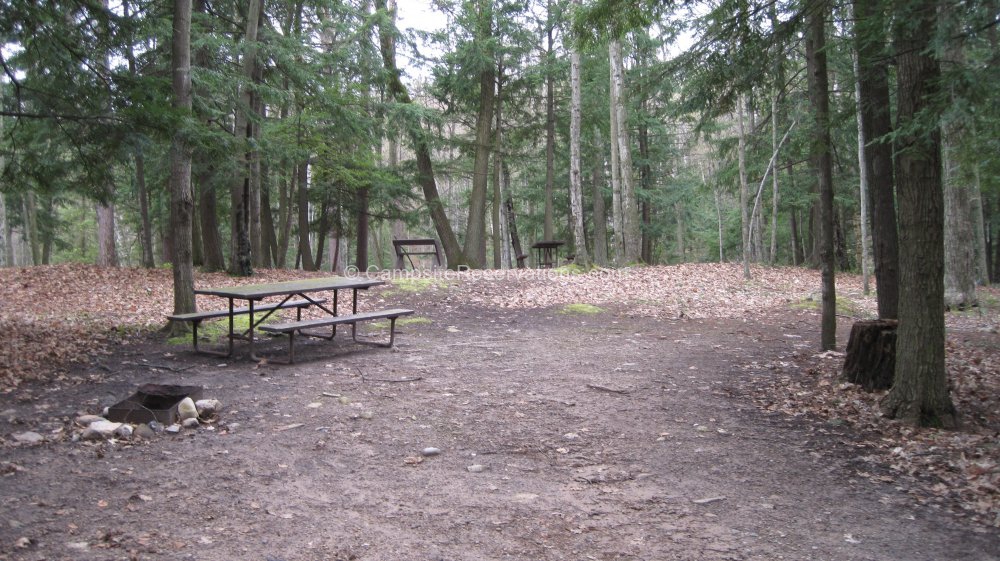 Photo of Campsite 63 in Daisy Field South Campground at Potawatomi ...