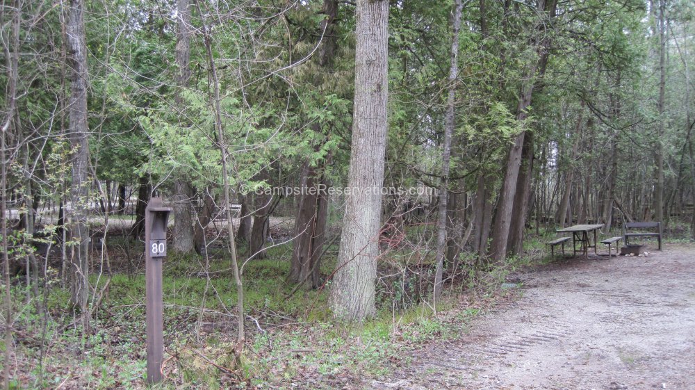 Photo of Campsite 80 in Daisy Field South Campground at Potawatomi ...