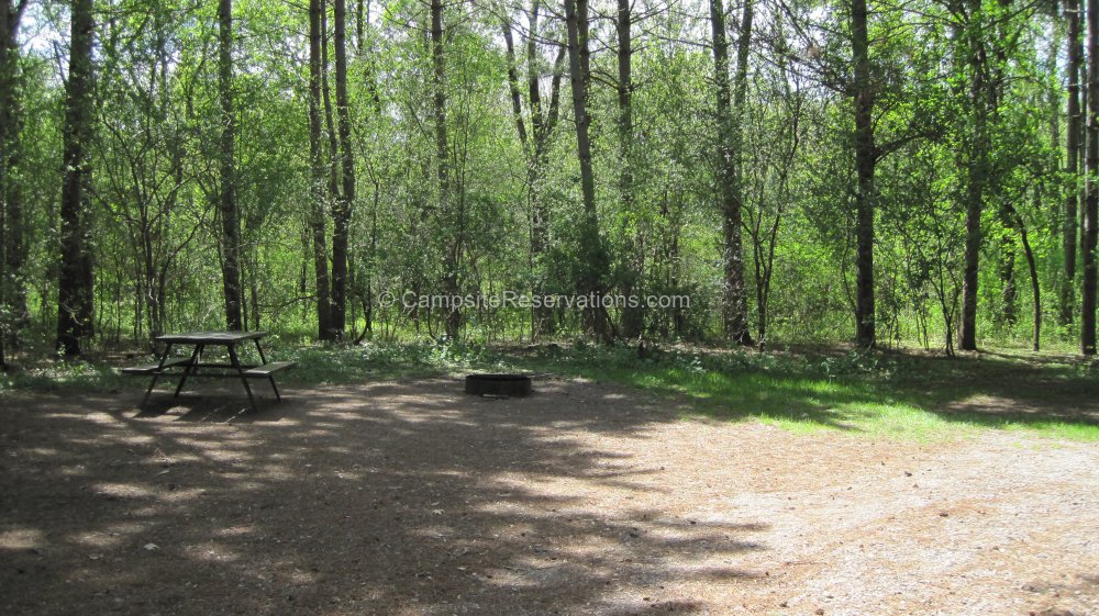 Campsite 331 in Ice Age Campground at Devil's Lake State Park ...