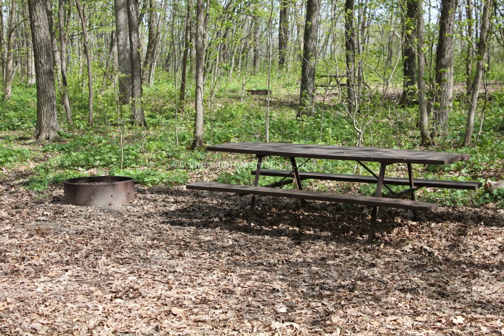Campsite 477 in Ice Age Campground at Devil's Lake State Park ...
