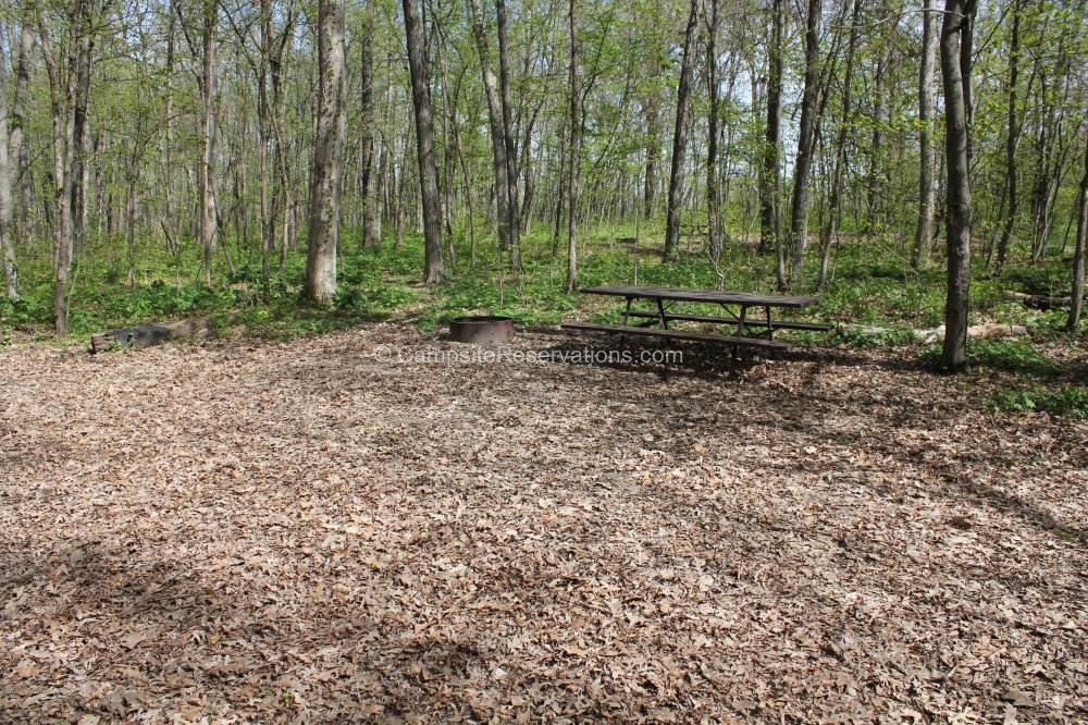 Photo of Campsite 477 in Ice Age Campground at Devil's Lake State Park ...