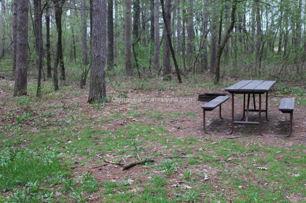 Campsite 010 in Hartman Creek State Park Campground at Hartman Creek ...