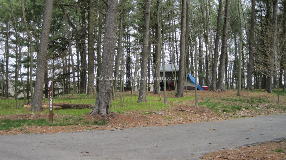 Photo of Campsite 215 in Kohler-Andrae State Park Campground at Kohler ...