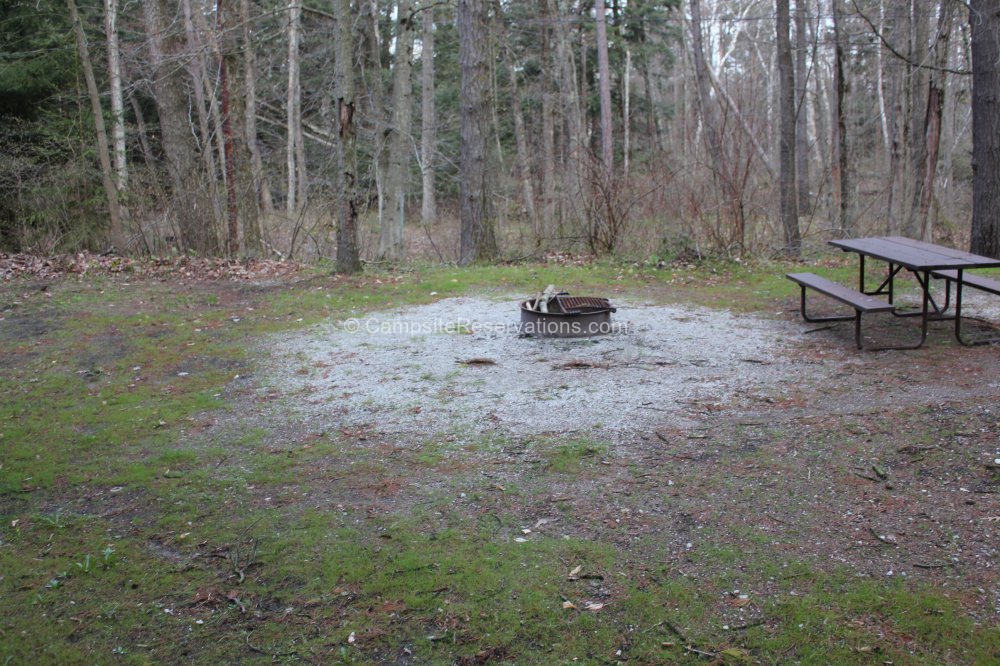 Campsite 008 in Point Beach State Forest Campground at Point Beach ...